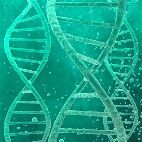 Demystifying Oligonucleotide Separation