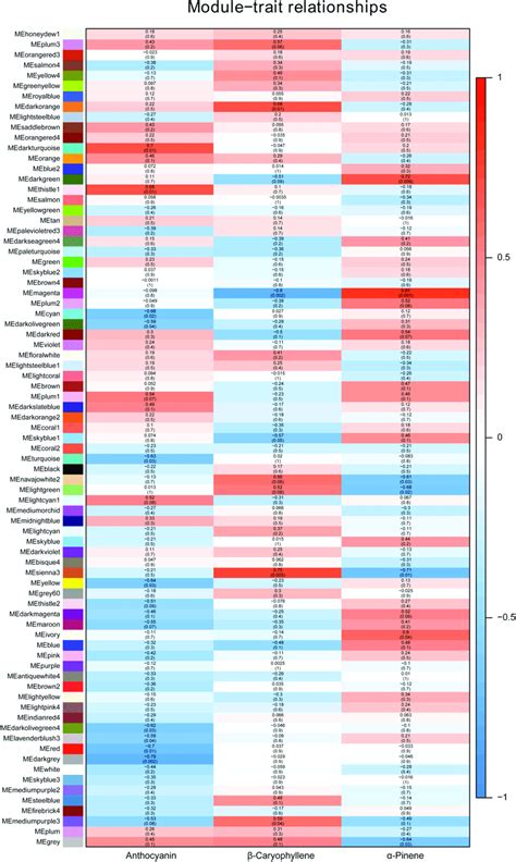 Module Trait Relationship Of WGCNA Seventy Eight Different Modules Download Scientific