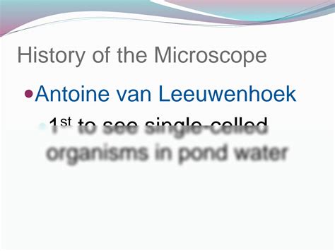 SOLUTION Microscope And Its Field Of View Studypool