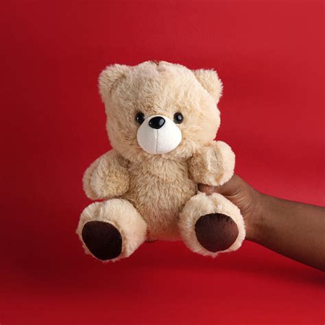 Soft Toy Teddy Bear Boxup Luxury Ting