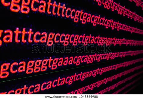 Dna Sequencing Sequence Nucleotide Bases Gene Stock Photo 1048864988 Shutterstock