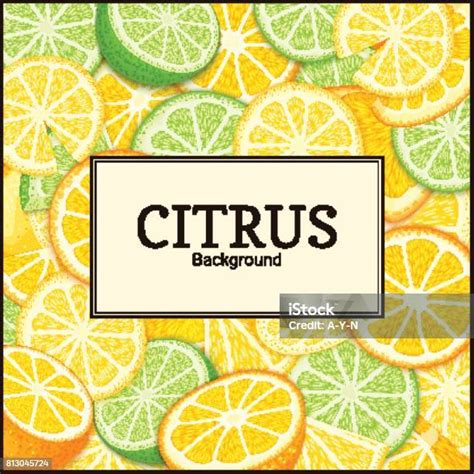 열 대 Orangelime 레몬 바탕에 사각형 레이블입니다 벡터 카드 그림입니다 신선 하 고 달콤한 감귤 포장 디자인 식품 주스 잼 아이스크림 스무디 해독 화장품 크림 개체