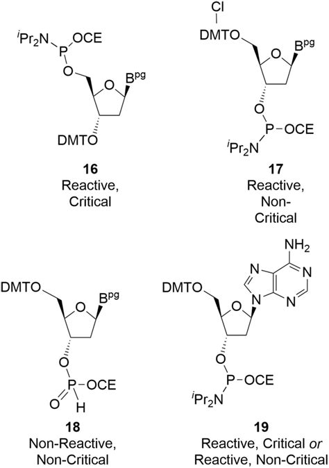 Perspectives On The Designation Of Oligonucleotide Starting Materials Pmc