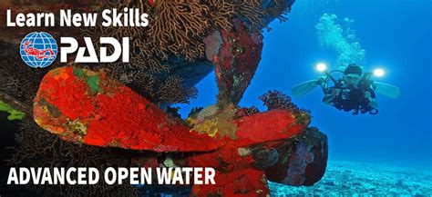 Padi Advanced Open Water Diver Course Cozumel Jungle Divers Cozumel