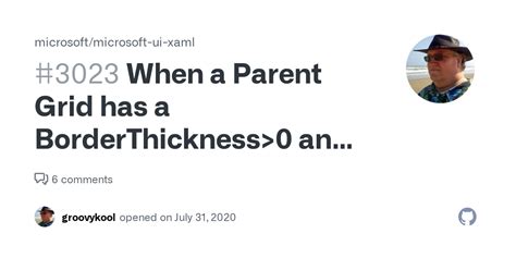 When A Parent Grid Has A BorderThickness And Padding Some BorderThickness Padding Values