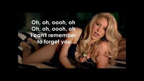 Cant Remember To Forget You Lyrics