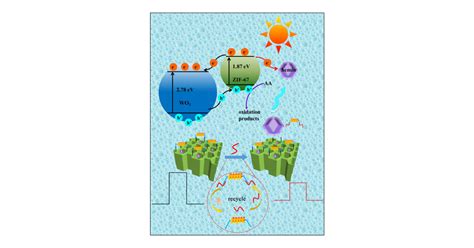Photoelectrochemical Detection Of Exosomal Mirnas By Combining Target Programmed Controllable