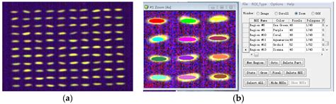 The Rapid Non Destructive Differentiation Of Different Varieties Of Rice By Fluorescence