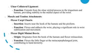 Hamate Bone Hand Anatomy By Aniket Mishra PPT