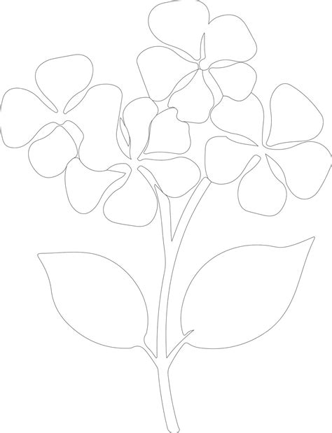 Premium Vector Hydrangea Outline Silhouette White Background