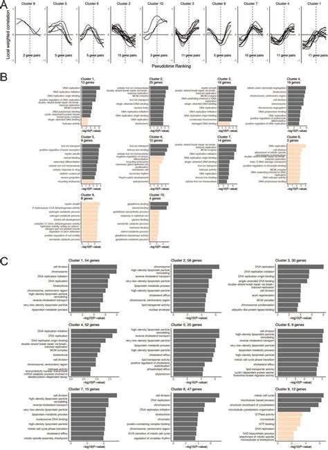 Correlation Testing Of Cholangiocyte Branch Using Schot A Line Plots