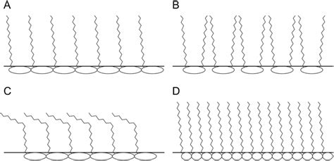 Schematic Representation Of The Proposed Interfacial Structure Of Download Scientific Diagram