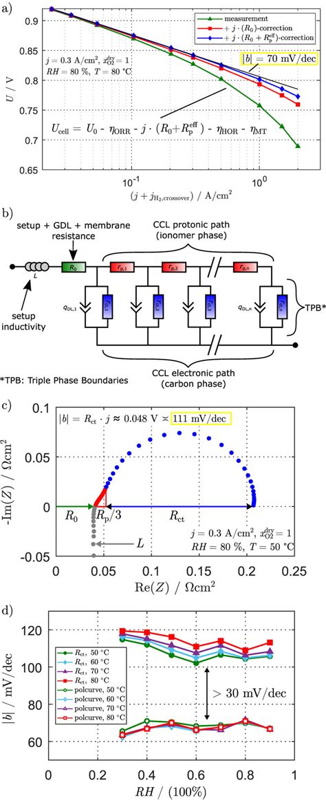 A Steady State Polarization Curve With Ohmic Corrections And
