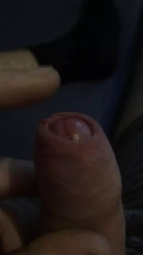Shaved Cock With Cum Filled Balls Foreskin Play With Pre Cum Gay Amateur Amateur Porn XHamster