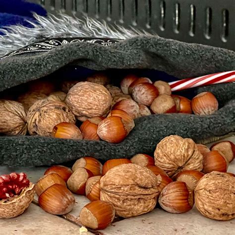 Nuts In Shell