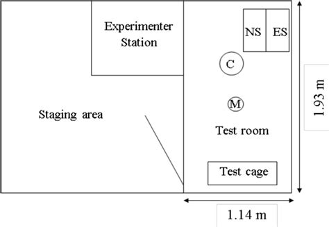 Diagram Of Experimental Setup Letters Indicate Equipment Placement M Download Scientific
