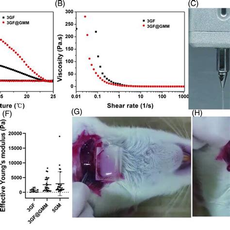 3d Printing Of Vascular Constructs In Vitro And Implantation In Vivo