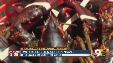 Why is lobster so expensive? - YouTube