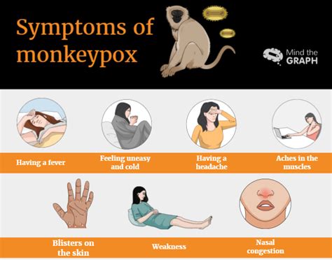 Symptoms Of Monkeypox Infographic Templates