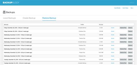 Backupbuddy How To Restore Your Wordpress Database Solidwp
