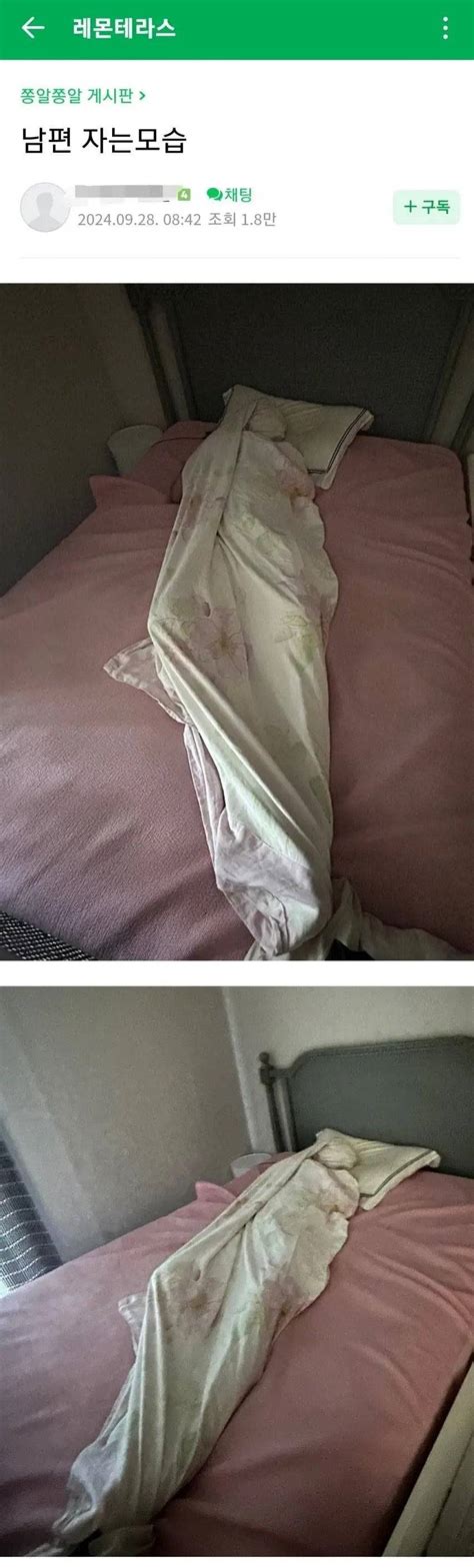 남편이 자는 모습이 왜 이런지 궁금한 와이프 인스티즈instiz 이슈 카테고리