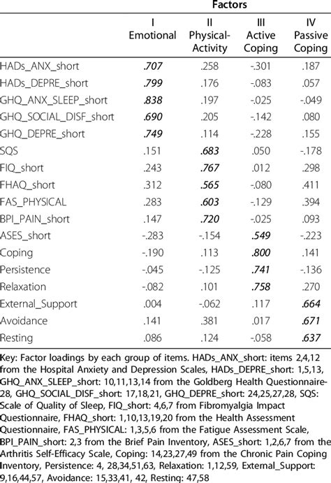 Exploratory Factor Analysis Factor Loadings By Instruments Used