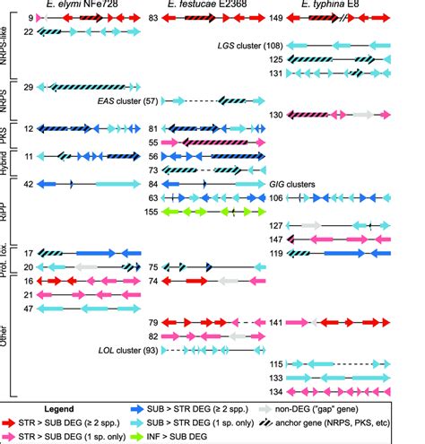 Putative Biosynthetic Gene Clusters Identified From The Strvsub And