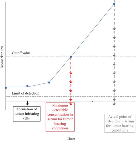 Minimum Detectable Concentration Versus Actual Point Of Detection The
