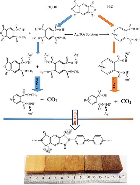 Schematic Diagram Of The Synthesis Process For Silver Polyimide Foam Download Scientific