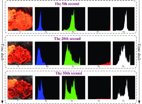 histogram of image processing information download scientific diagram