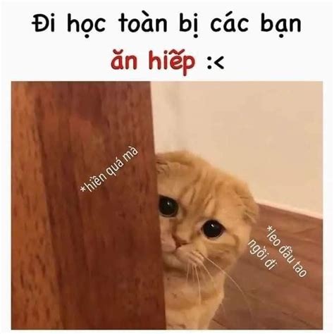 Pin Di Nanhhi Su Memes VN