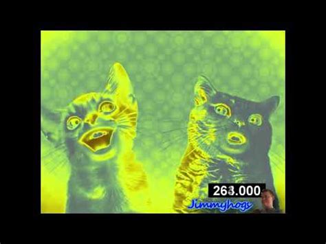 Preview 2 Numa Cat effects 5 Combined - YouTube