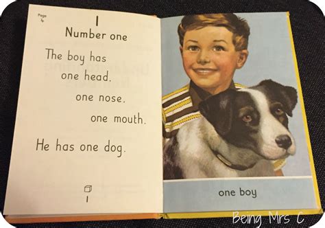 Ladybird Tuesday Understanding Numbers Being Mrs C
