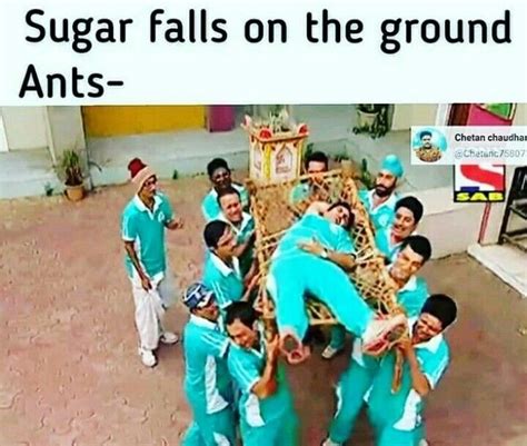 Verona Meme By Brandy333 Memedroid