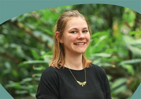 Wissenswertes über Insekten Dmde