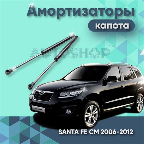 Амортизаторы капота комплект Hyundai Santa Fe CM 2006-2012 811602B010 ...