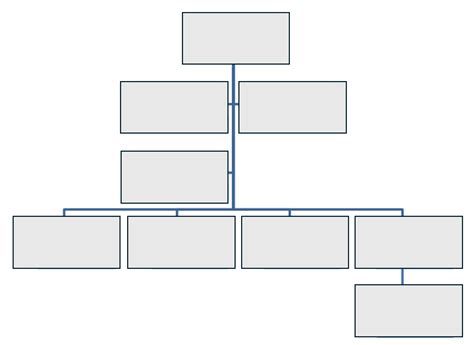 Command Structure Generic Diagram Quizlet