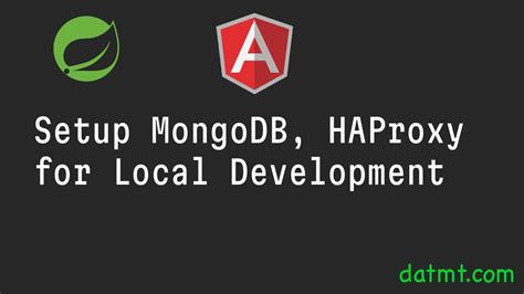setup mongodb haproxy for local development datmt
