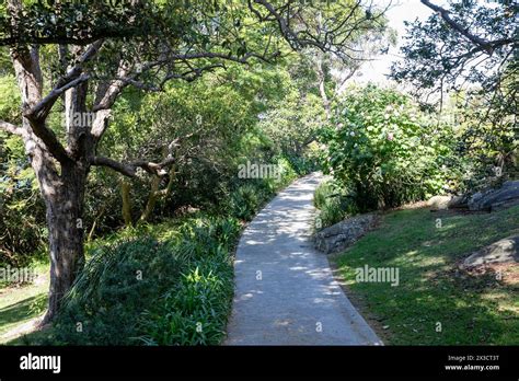 Lex And Ruby Graham Garden A Sydney Secret Garden On Cremorne Point Which Started In 1959 With