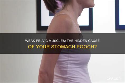 Weak Pelvic Muscles The Hidden Cause Of Your Stomach Pooch Cyvigor