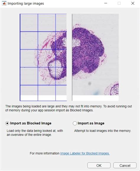 Label Large Images In The Image Labeler MATLAB Simulink