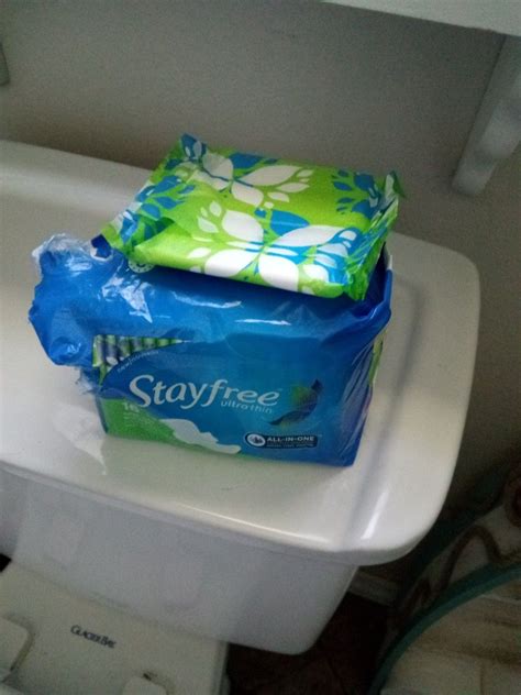 Toilet Cleaning Tips