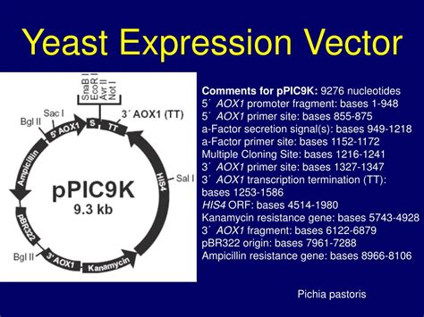 Ppt Chapter 8 Expression And Modification Of Recombinant Proteins Powerpoint Presentation
