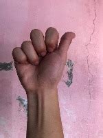 FSL Dataset V4 5 Object Detection Dataset And Pre Trained Model By FSL Data Set 4