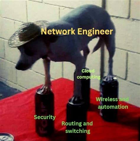 Amit Kumar On Linkedin Networkengineering Digitalresilience Techheroes Networkengineer Ccna…