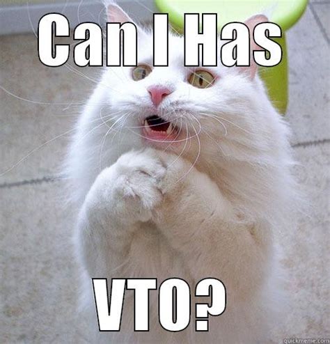 Vto Cat Quickmeme