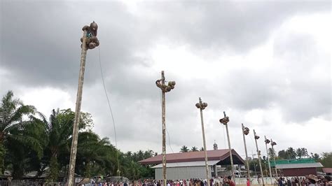 Cerita Beruk Beruk Buat Orang Naik Angin Cerita Beruk Beruk Buat Orang Naik Angin Di