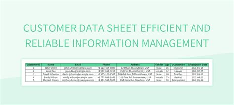 Customer Data Sheet Efficient And Reliable Information Management Excel