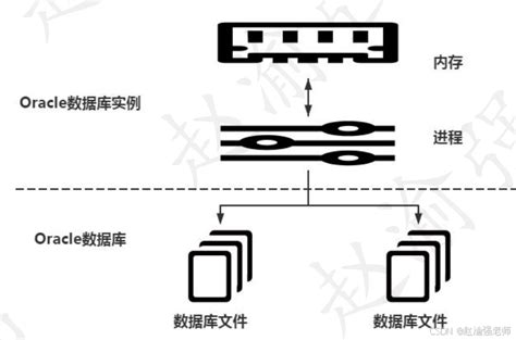 【赵渝强老师】oracle的体系架构 Csdn博客