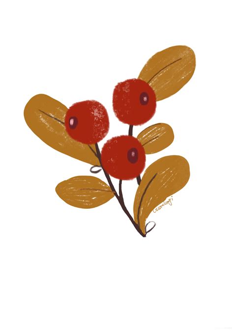 植物插画风格插画设计作品 设计人才灵活用工 设计dna